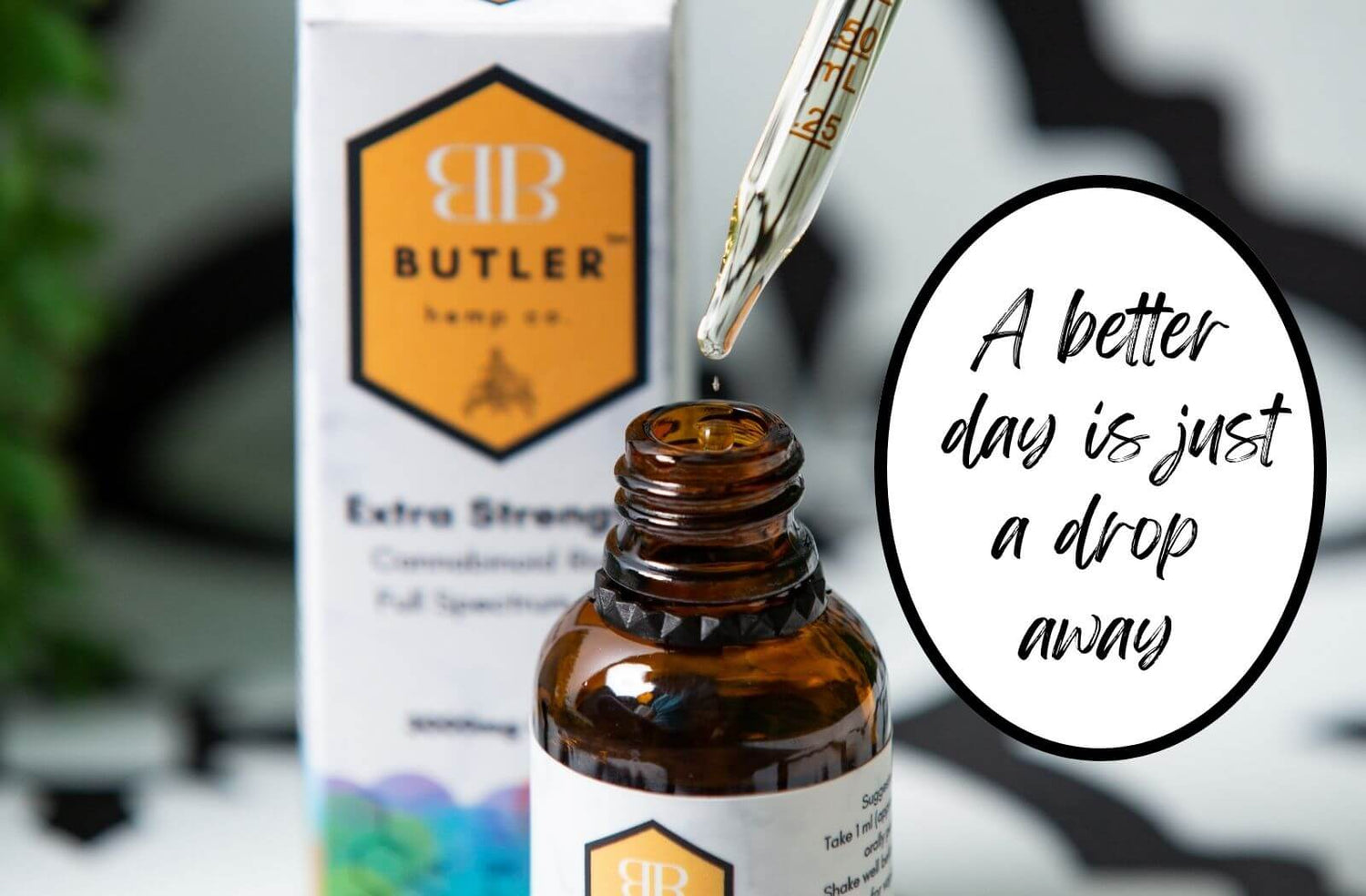 Elevate Your Wellness: Premium CBD and Hemp-Derived Delta 9 Products – Butler Hemp Co